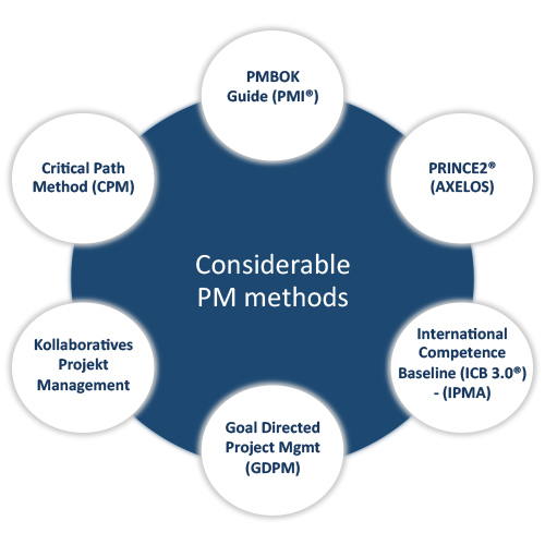 Program and project management methods - Kapell interim management ...